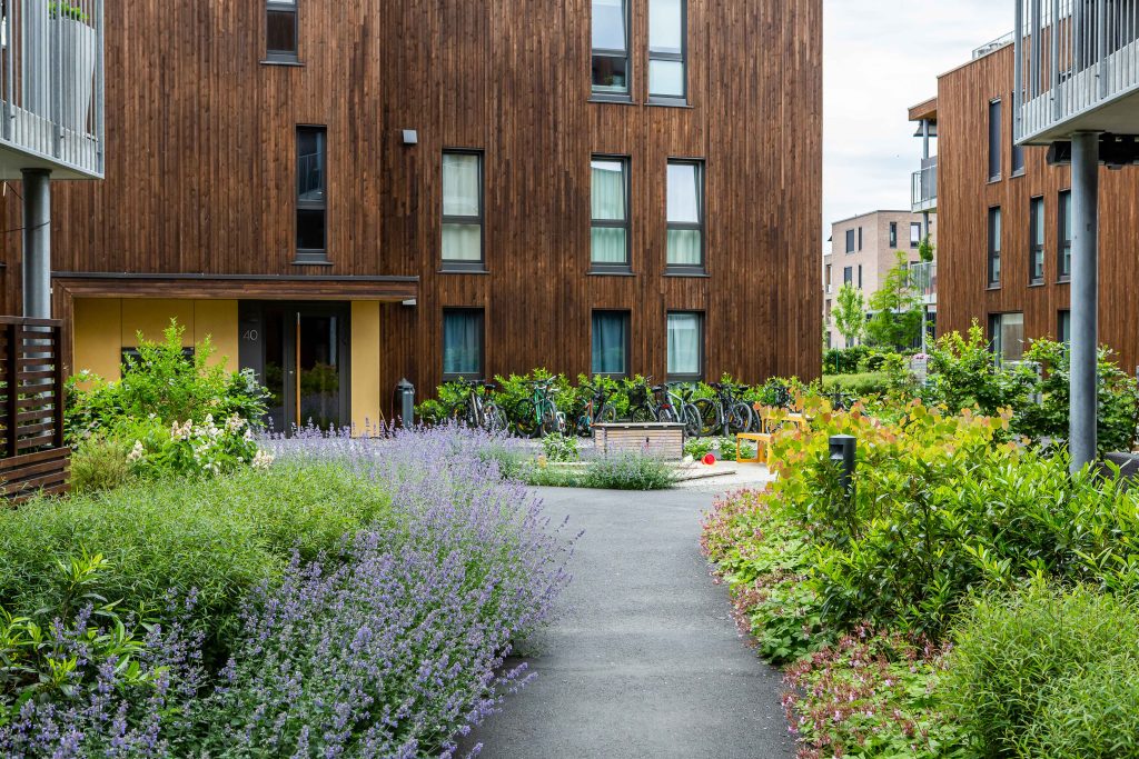 Storøya - Fornebu felt 6.0 - LARK